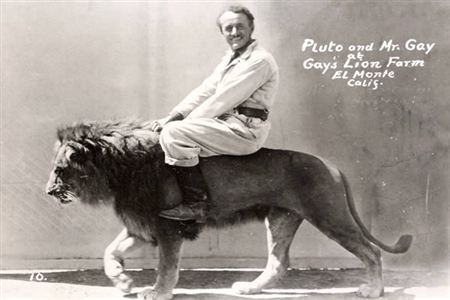 10 Weird Photos of People Riding Animals - Oddee